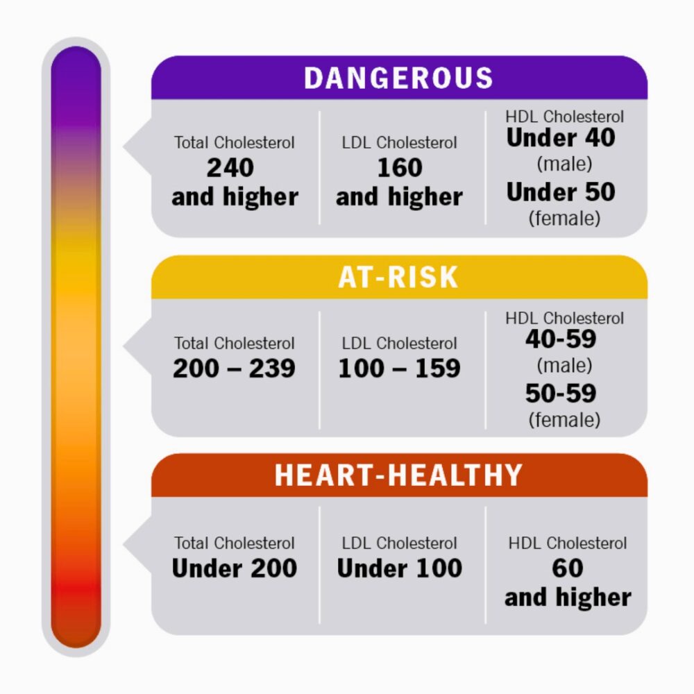 Cholesterol ratio calculator: what it is, why it matters, and how to ...