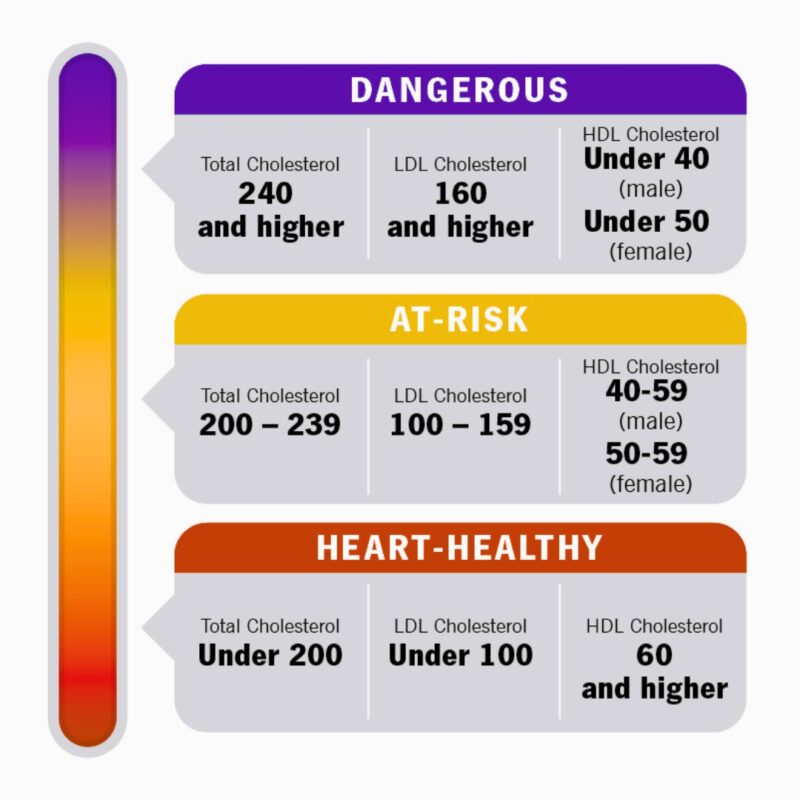 Cholesterol ratio calculator: what it is, why it matters, and how to ...
