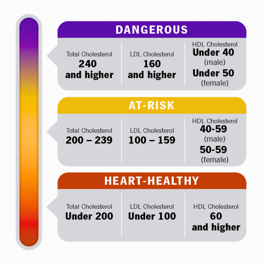 Cholesterol ratio calculator: what it is, why it matters, and how to ...