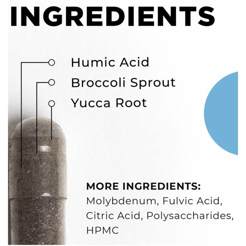 Cell Core BioToxin Binder | The Remedy Room